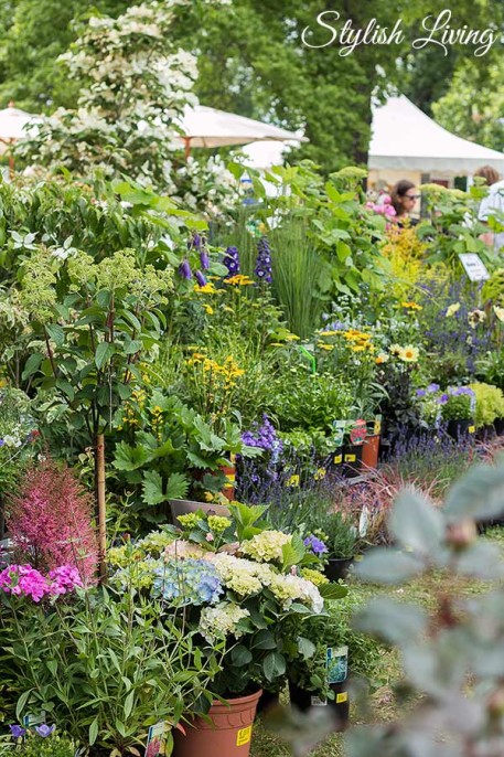 Home And Garden Hamburg
