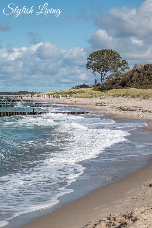 Darß Special Teil II - Ostseebad Ahrenshoop - Stylish Living